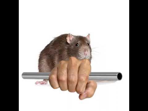 Crazy? I was crazy once